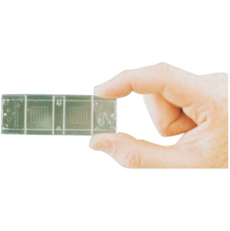Microscope Grid Slide At Norma Cuellar Blog