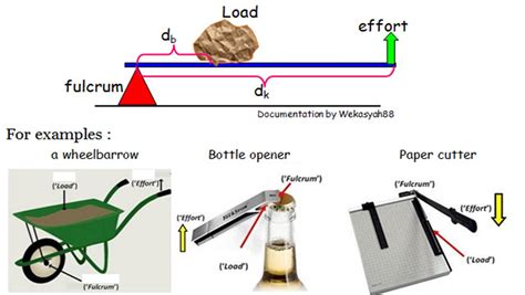 Second Class Lever Examples