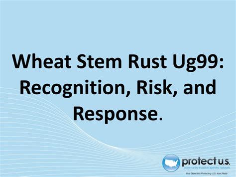 Recognizing And Responding To Wheat Stem Rust