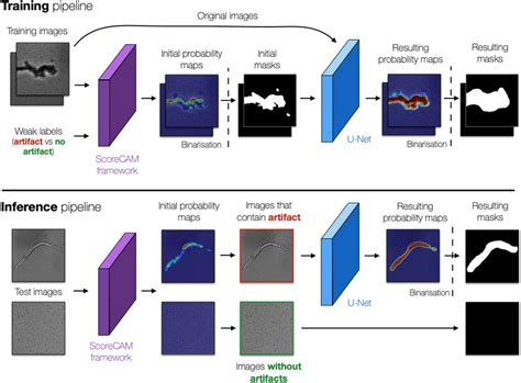 Artifact Segmentation Pipeline—scorecam U Net During Training Top Download Scientific