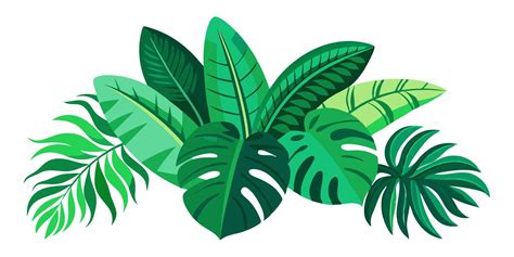 Tropical Plants Illustration 49964865 Vector Art At Vecteezy