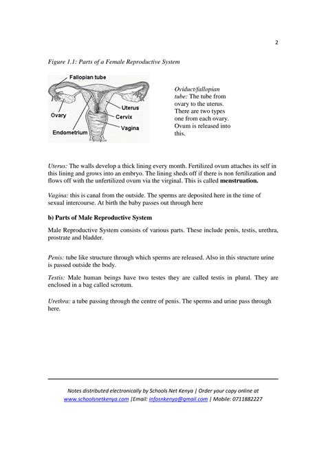 SOLUTION Primary Science Notes For Class And Pdfdrive Studypool