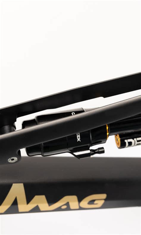 The Magnesium Frame Mag Bike