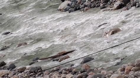 Mr Lovely Sonone Rv On Linkedin Travels Mandakini River In Kedarnath India