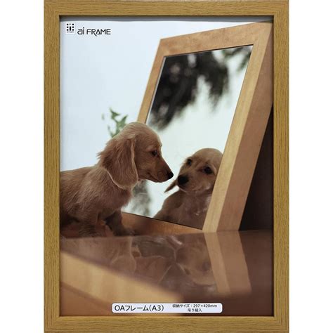 イワタ Ai Frame Oaフレーム A3 ピンク ブラウン ナチュラル ホワイト Joa A3 額縁 A166 015 018 額縁・アルバム・雑貨の老舗 万丈 通販