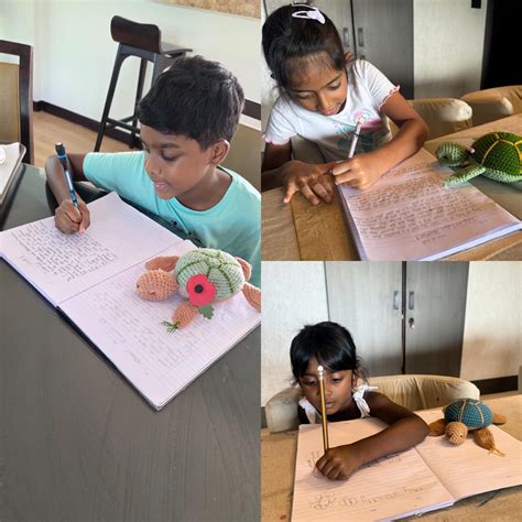 Writing Turtle Diaries The British School In Colombo Facebook