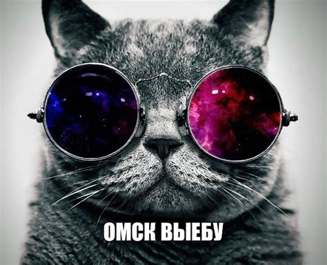 Создать мем крутые котики кот в темных очках Картинки Meme