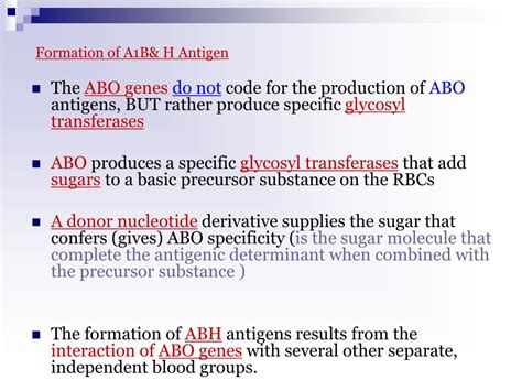 H Antigen Structure At Samantha Lackey Blog