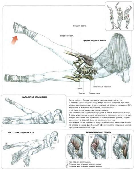 упражнения для ягодиц Esercizi Fitness Motivazione Per Il Fitness Esercizi