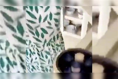 身边的卧龙凤雏，我称他为大聪明凤雏卧龙