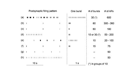 Postsynaptic Wring During Plasticity Induction Comparison Of Protocols Download Scientific