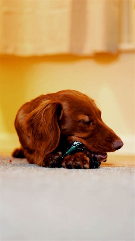 실내 교실 교육 귀여운 그룹 급우 남성 놀이 누워있는 단란함 러그 만들기 미소 미소 짓는 바닥에 사람 사랑스러운 소녀 소년 수업