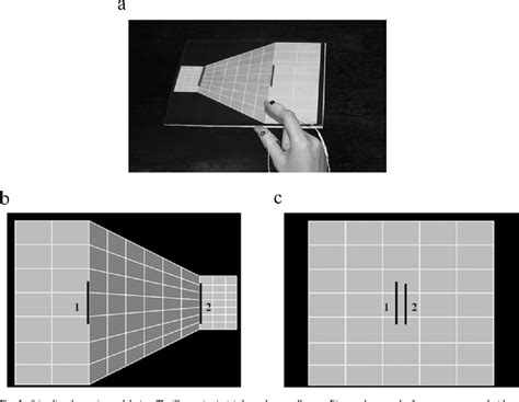 Figure 1 From A Double Dissociation Between Action And Perception In The Context Of Visual