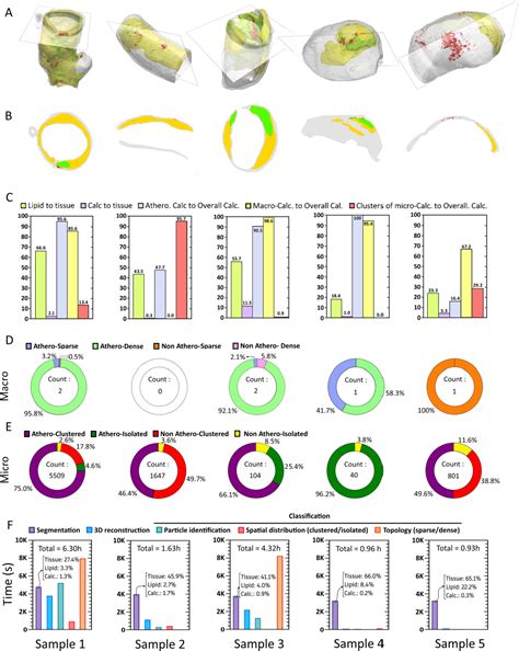 Figure 1 From Phenotyping Calcification In Vascular Tissues Using