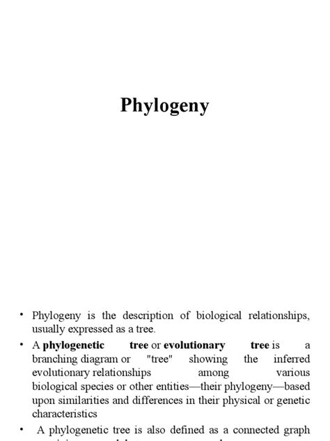 Phylogenetics Pdf