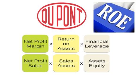 Dupont Analysis Chart