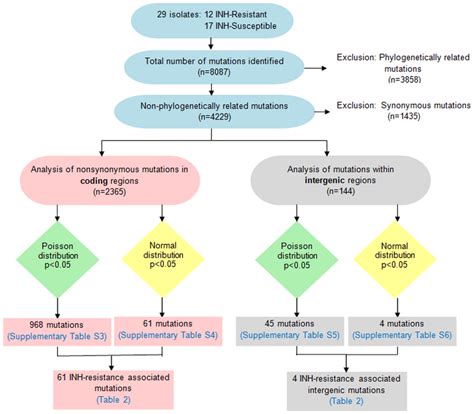 Flowchart Showing The Steps Used For Identifying Inh Resistance