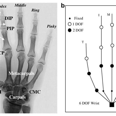 Pdf Vision Based Hand Pose Estimation A Review