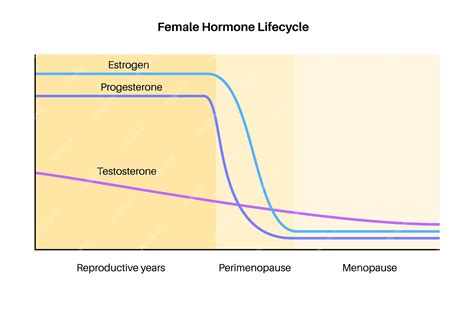 Testosterone Diagram