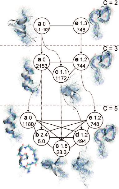͑ Color ͒ Hierarchical Transition Network Analysis For The Ala 12 Pep