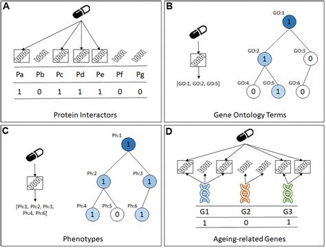 Predicting Lifespan Extending Chemical Compounds For C Elegans With
