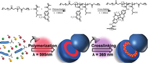 Fabrication Of Cross Linked Polymeric Nano Objects By Exploiting Download Scientific Diagram