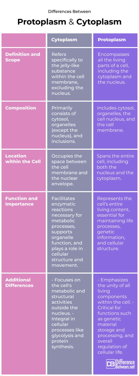 Protoplasm And Cytoplasm Difference Between Protoplasm Vs Cytoplasm