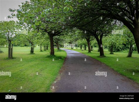 Path Through Park Tree Lined Path Wavertree Botanic Gardens Path Through Park Tree Lined Path Wavertree Botanic Gardens