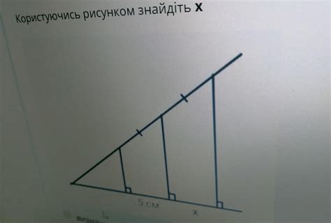 Користуючись рисунком знайдіть х Школьные Знания Com