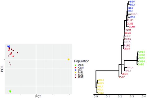 A First Two Principal Components Explaining 29 Of Variance From Download Scientific Diagram