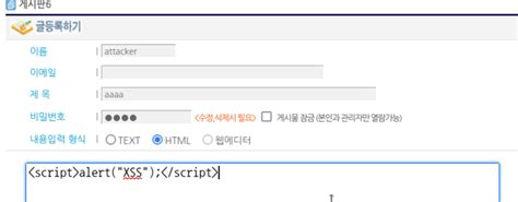 웹 취약점 진단 Xss