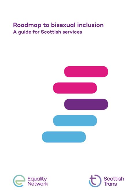 Roadmap To Bisexual Inclusion Equality Network