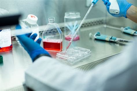 Insects And Science Optimizing Work With Sf9 Insect Cells Promega Connections