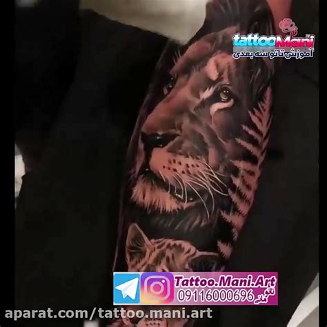 تتو شیر و بچه شیر روی ساعد دست