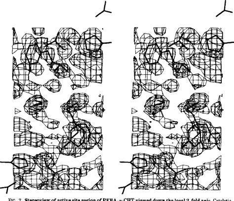 Figure 2 From Structure Of A Tetrahedral Transition State Complex Of