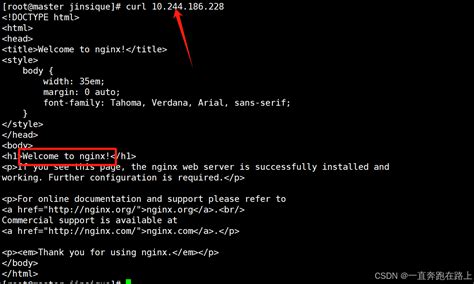 【kubernetes】实战：金丝雀部署 Csdn博客