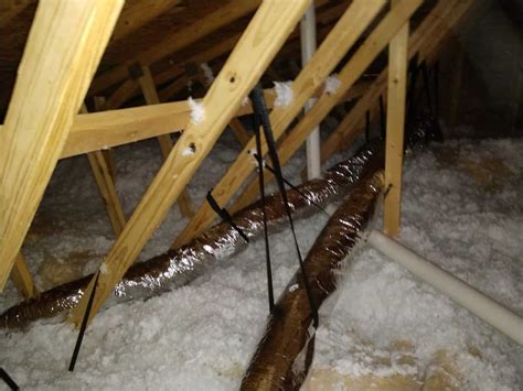 Bird Nest Removal Service Urbana Dryer Vent Cleaning