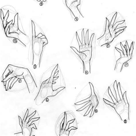Нарисованная кисть руки 77 фото