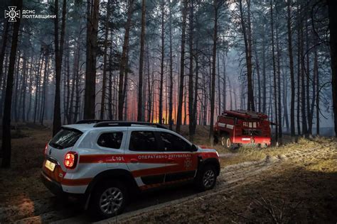 На Полтавщині третій день гасять масштабну лісову пожежу
