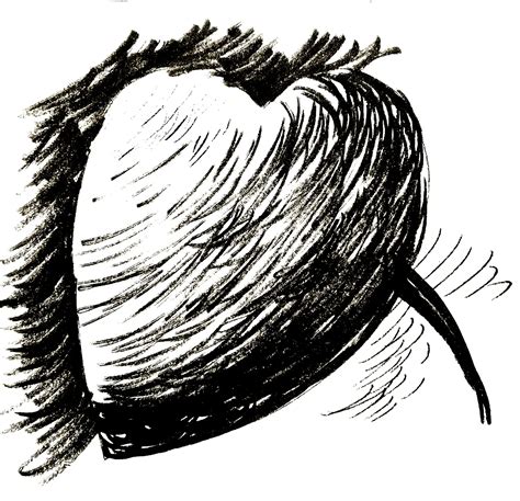 How To Shade With A Pen For Beginners Improve Your Art Fast