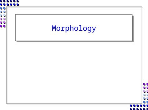ppt morphology abstract morphological operators ðtake a binary image and a structuring