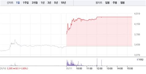 상한가 종목 우리기술투자 위지트 이어 한화투자증권 옵티코어 등 상한가 마감