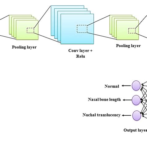 Schematic Representation Of The Architecture Of Dcnn Download