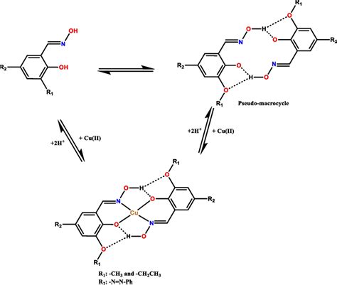 Proposed Complexation Of Phenolic Oxime Pro Ligands And The Download Scientific Diagram