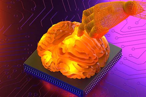 Machine Learning Algorithms And Techniques Custom Software Development And App Development Perth