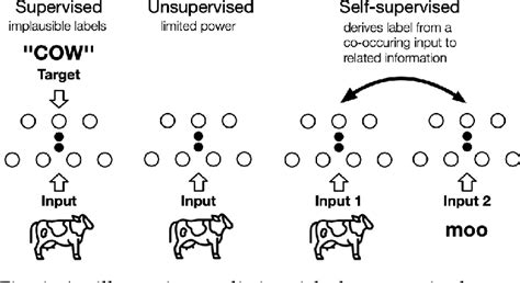Figure 1 From Self Supervised Learning Generative Or Contrastive