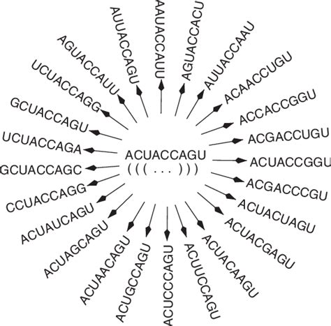 figure 1 from info rna a fast approach to inverse rna folding semantic scholar