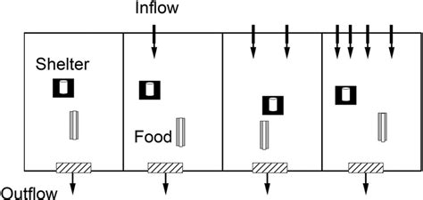 Schematic Of The Mesocosm Construction Four Mesocosm Sat Side By Side