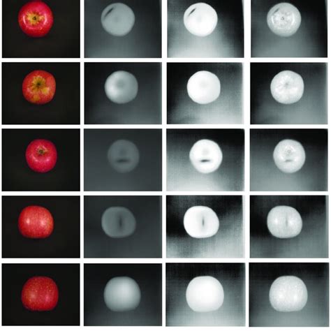 Network Structure Of Mobilenetv3 Large Model Download Scientific Diagram