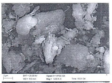B Result Of Sem Analysis Of Modified Clay Download Scientific Diagram